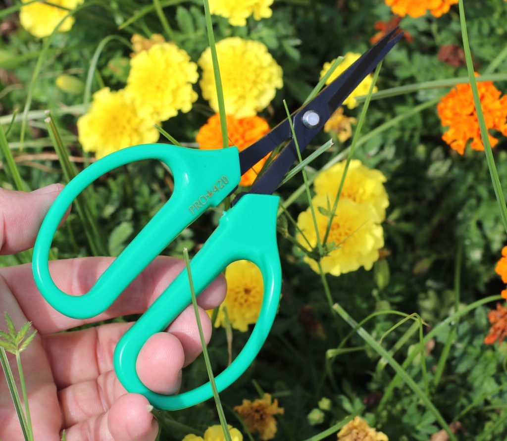 Buy Pro 420 Scissors 2 at PRO 420 – Quality Gear Awaits!
